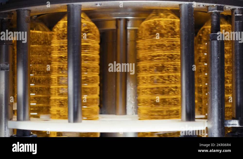 Oil in bottles. Industrial production of sunflower oil. Conveyor line ...