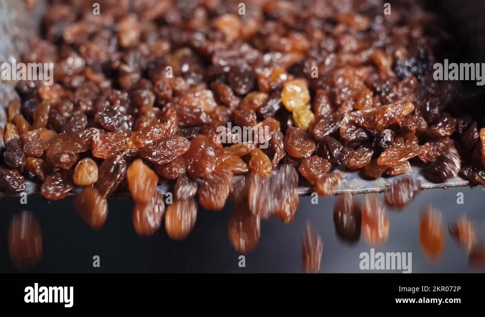 Dried Grape processing plant. Processing Raisin in the factory. sultana ...