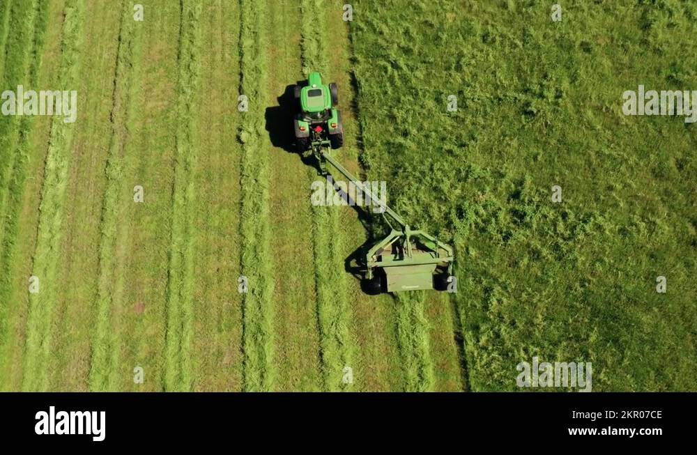 Green fodder harvest Stock Videos & Footage - HD and 4K Video Clips - Alamy