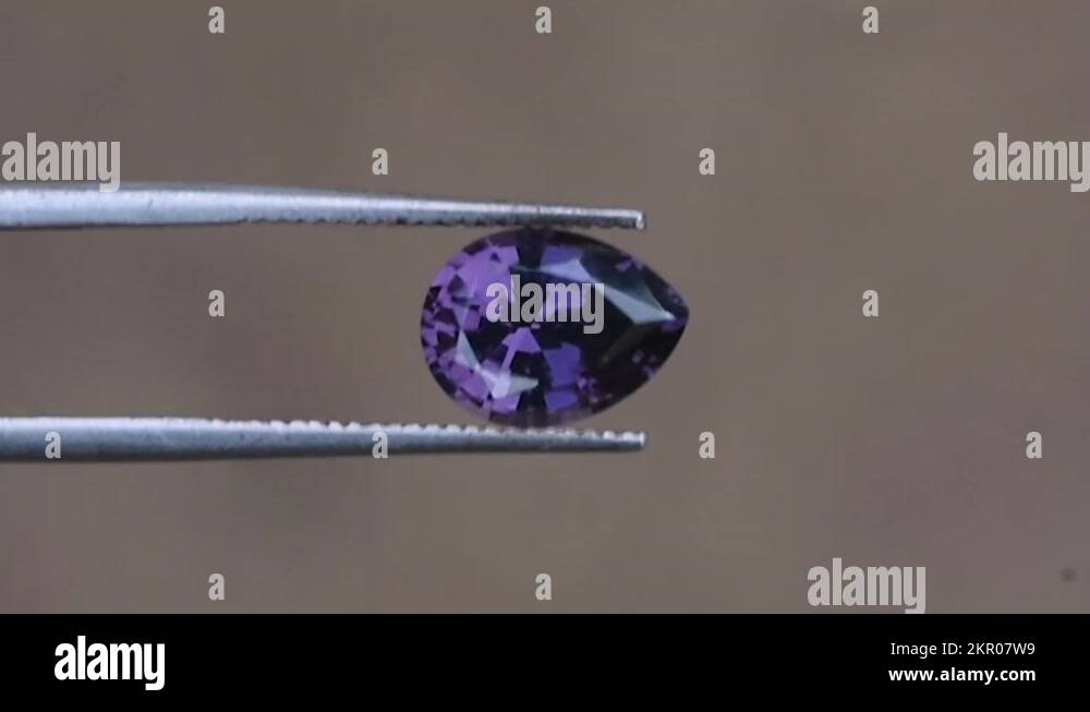 Purple pear Stock Videos & Footage - HD and 4K Video Clips - Alamy