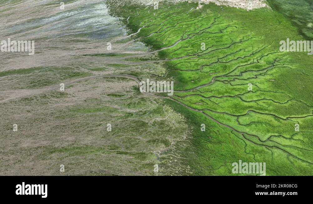 Striking pattern patterns Stock Videos & Footage - HD and 4K Video ...