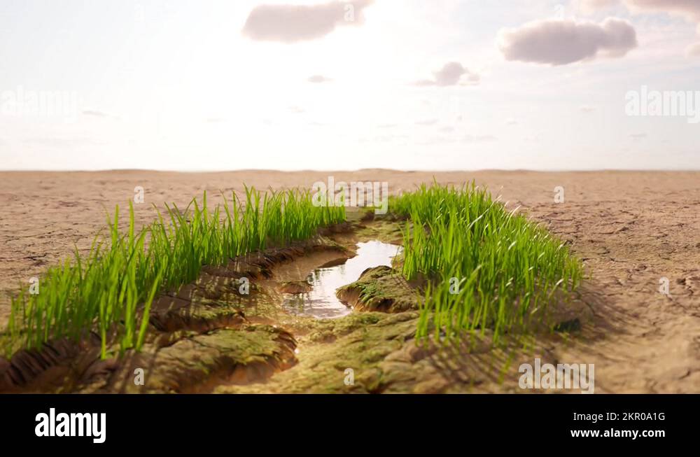 Watering the desert Stock Videos & Footage - HD and 4K Video Clips - Alamy