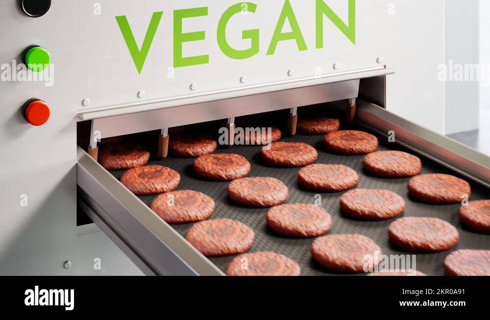 Vegan meat factory. Production line of plant-based burger patties. Loop ...