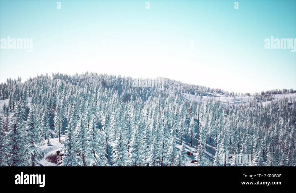 Splendid view scenery Stock Videos & Footage - HD and 4K Video Clips ...