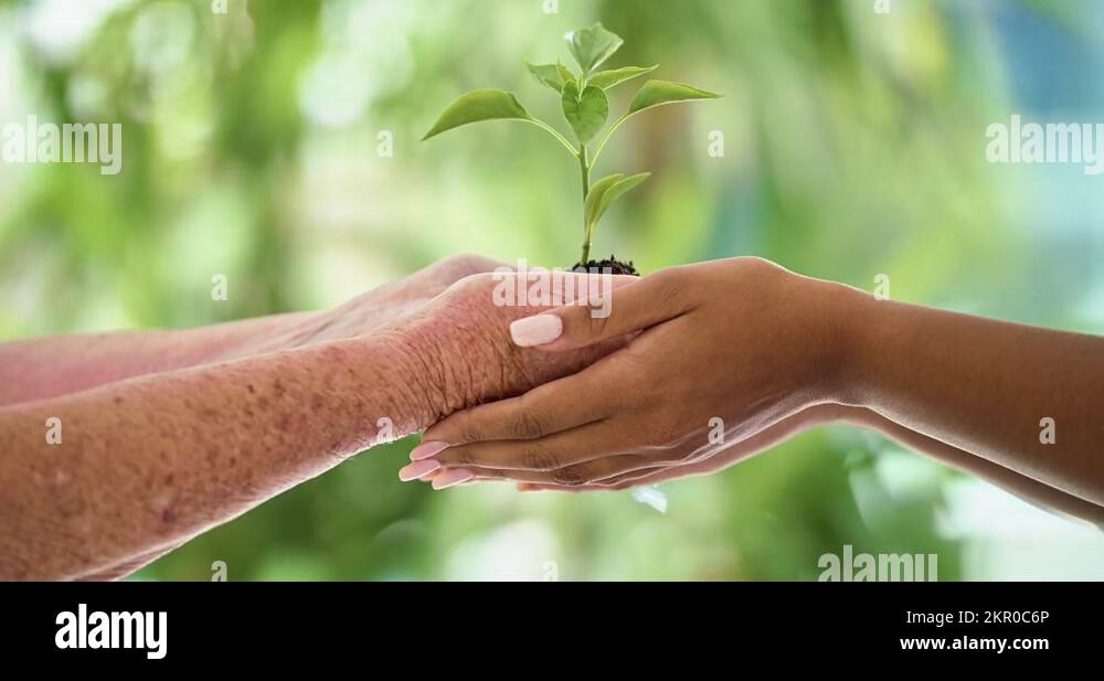 Old woman life support hands Stock Videos & Footage - HD and 4K Video ...