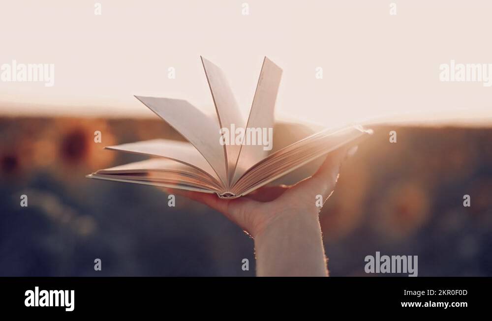 Woman flips through pages of old paper book on sunset background in ...