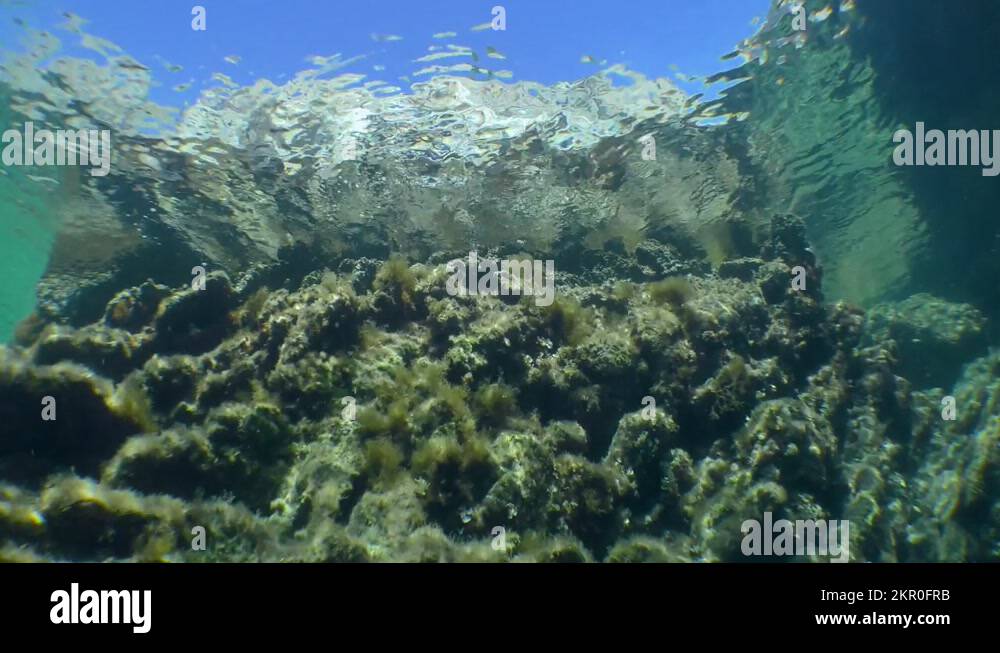 Snorkeling, the camera rises smoothly along a rocky underwater slope ...