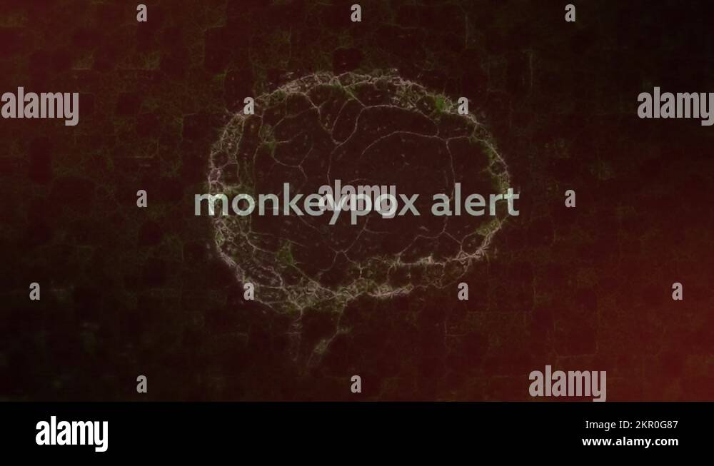 Monkey brain Stock Videos & Footage - HD and 4K Video Clips - Alamy