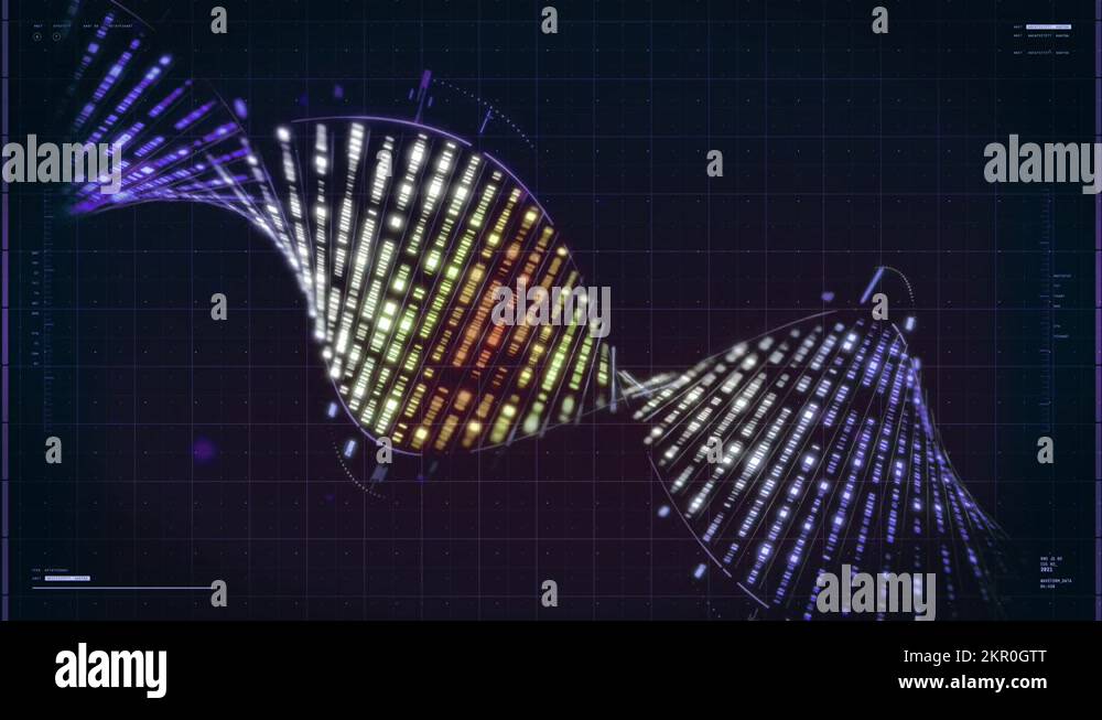 Genetic evolution Stock Videos & Footage - HD and 4K Video Clips - Alamy