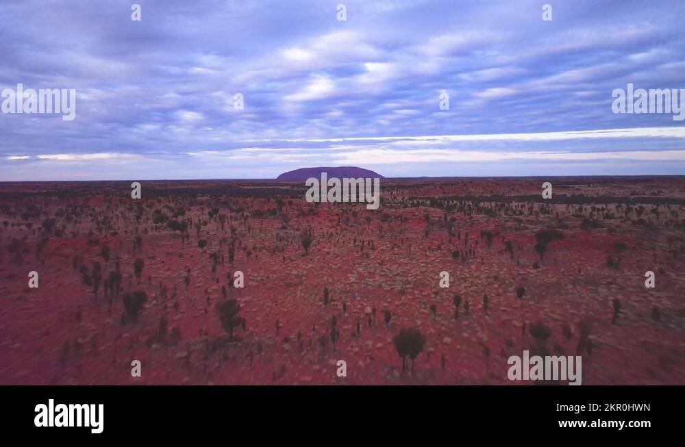 Red mulga Stock Videos & Footage - HD and 4K Video Clips - Alamy