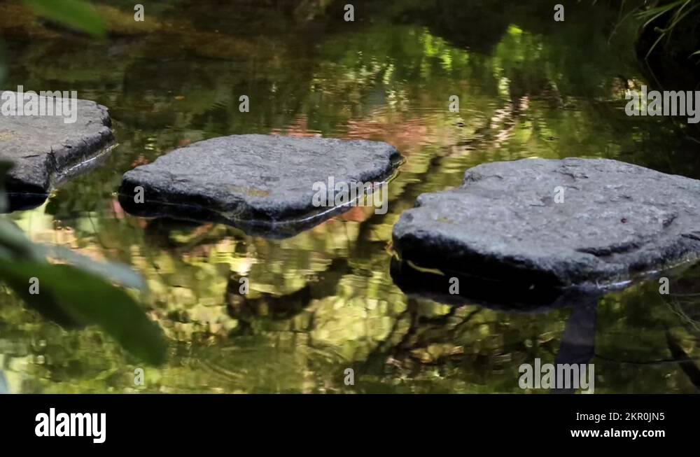 Reflective cross Stock Videos & Footage - HD and 4K Video Clips - Alamy