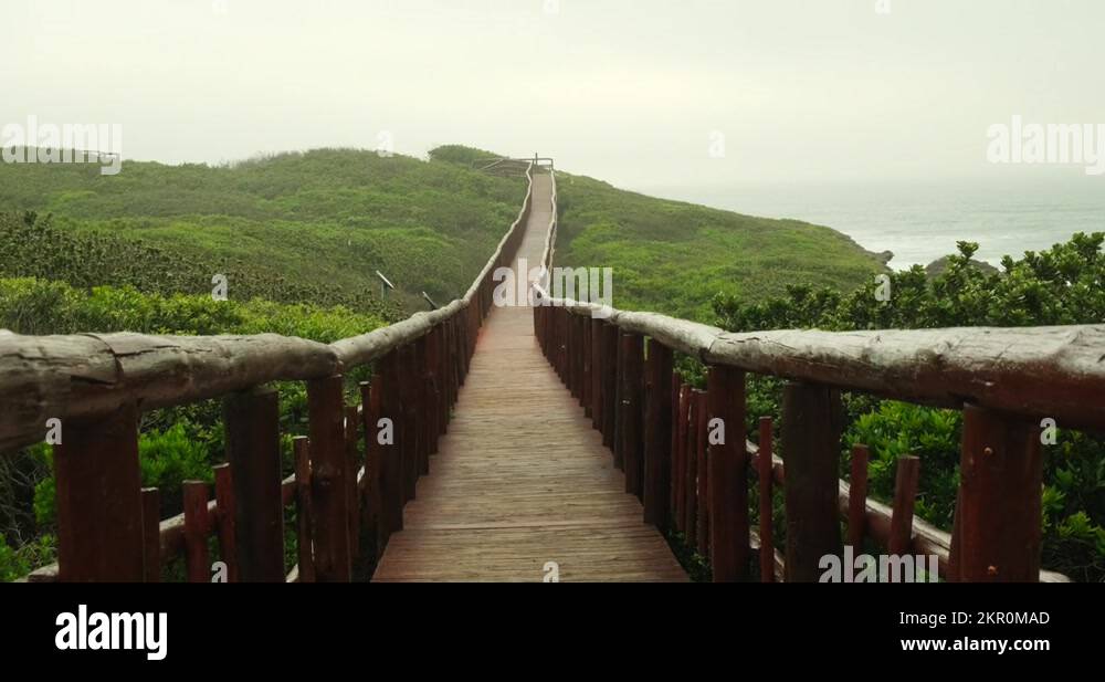 Grass rope bridge Stock Videos & Footage - HD and 4K Video Clips - Alamy