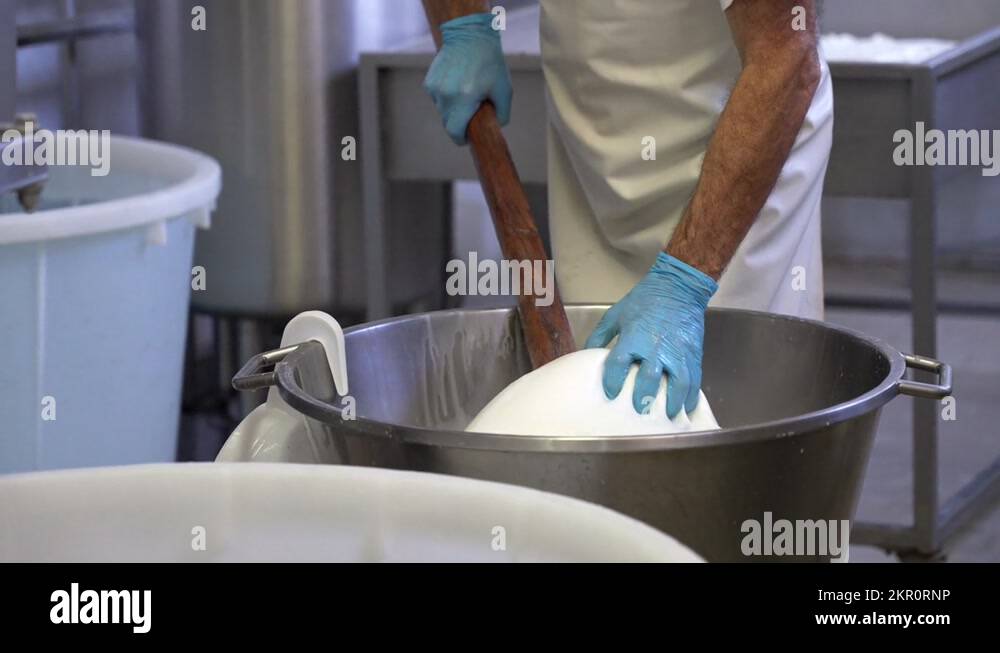 Manufacture Production and Making Process of Mozzarella Cheese, Worker ...