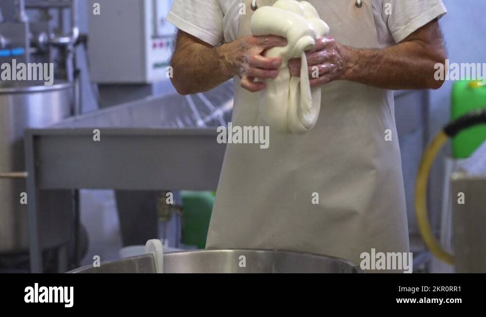 Manufacture Production and Making Process of Mozzarella Cheese, Worker ...