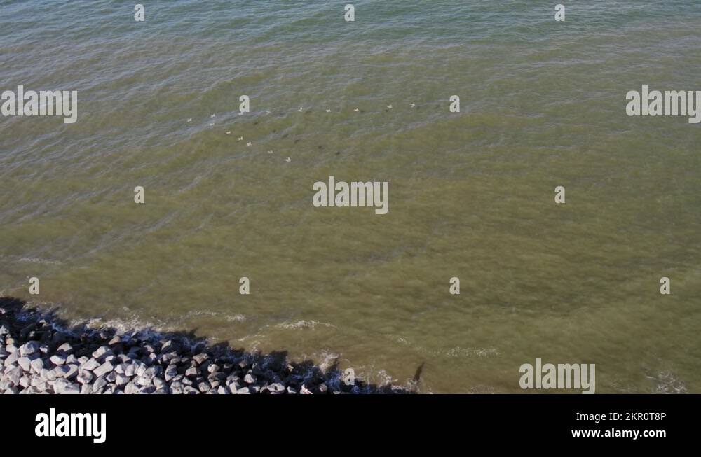 Shaped formation Stock Videos & Footage - HD and 4K Video Clips - Alamy