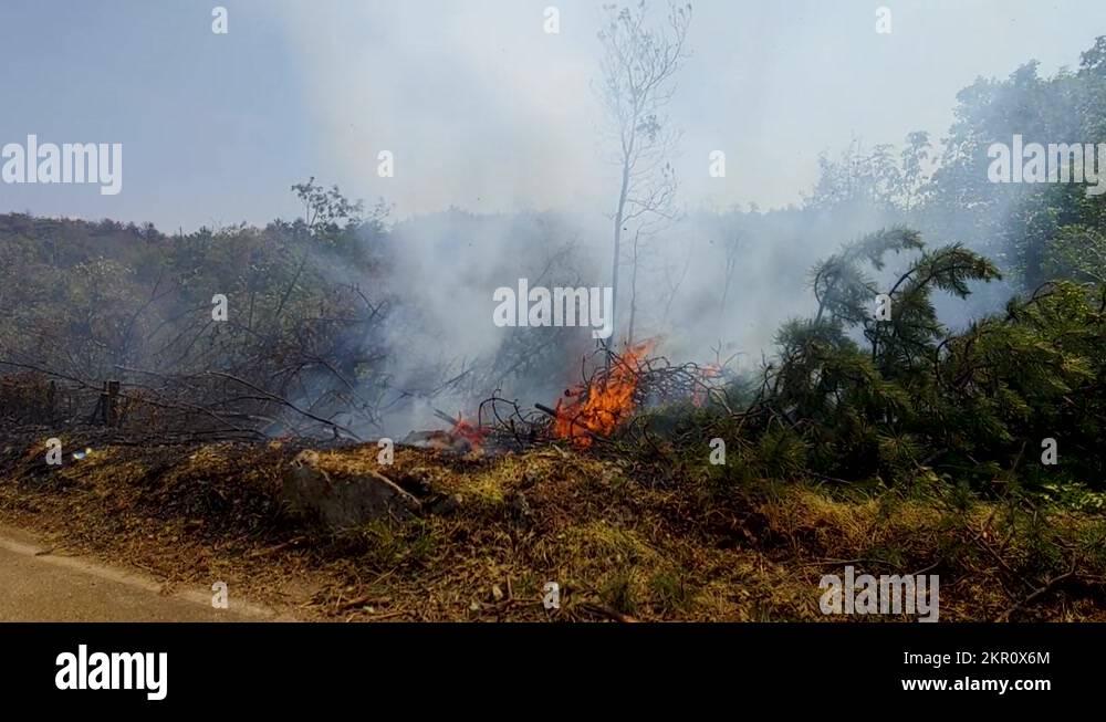 Drought fire Stock Videos & Footage - HD and 4K Video Clips - Alamy
