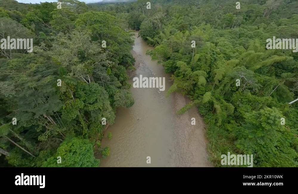 FPV drone dives down towards river with rainforest trees encroaching ...