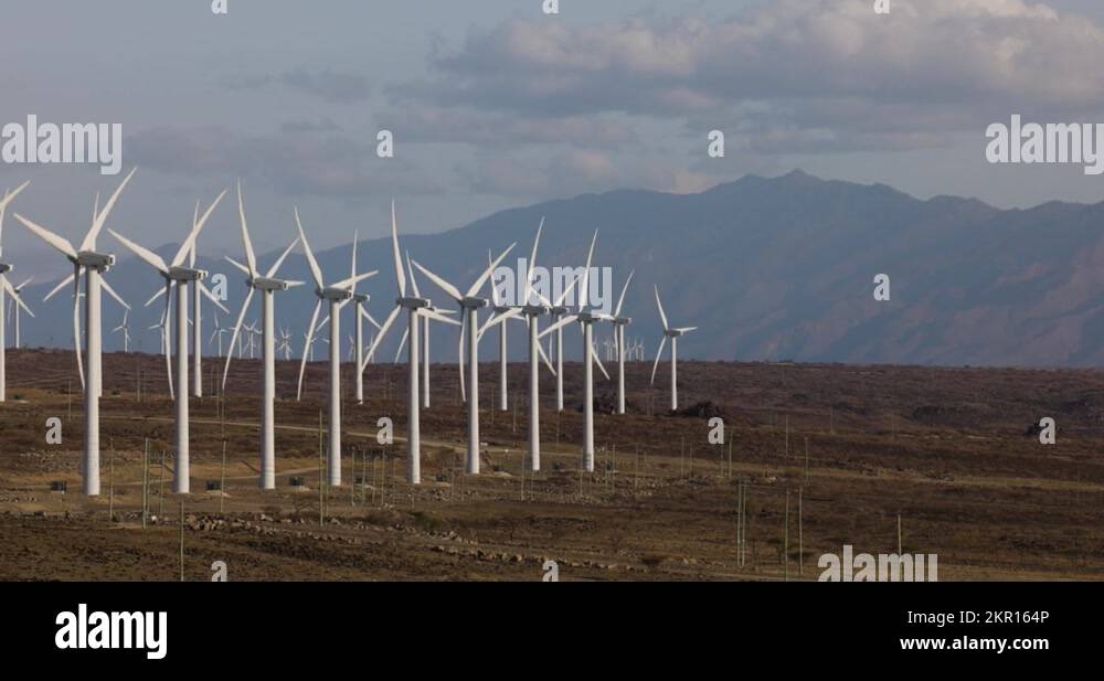 Climate change,Wind power,large group of wind turbines,Lake Turkana ...