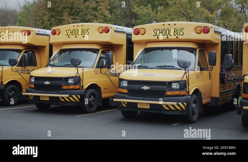 Wilson, NY, USA, October 2021: Row of yellow school buses in the ...