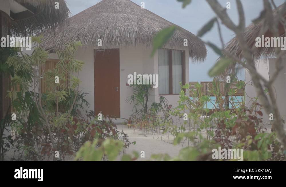 Igloo tree house in the Maldives Island, Green garden and ocean view ...