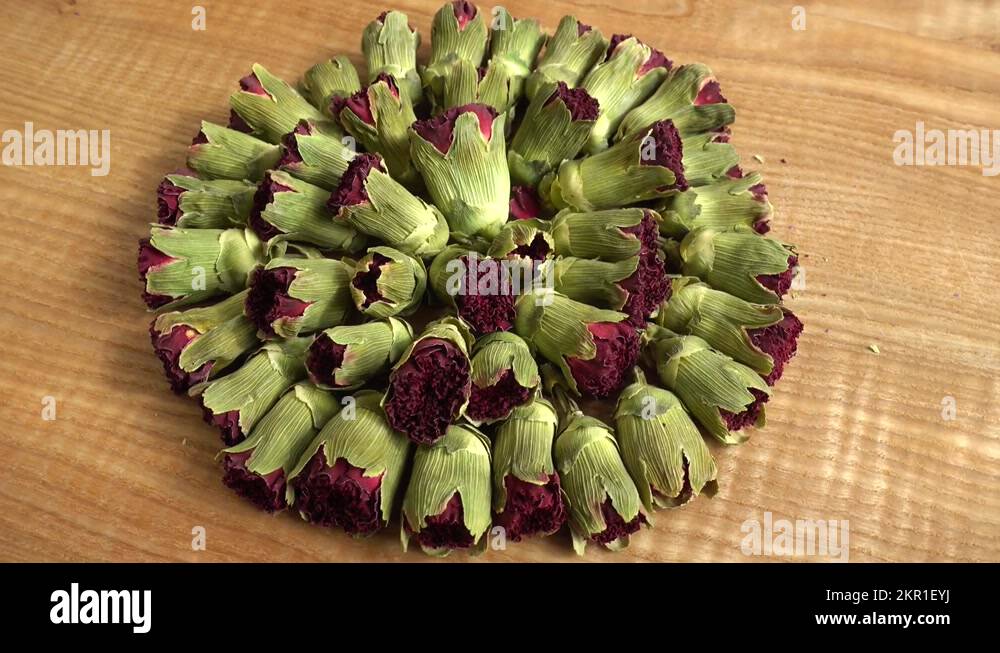 Dianthus flowers Stock Videos & Footage - HD and 4K Video Clips - Alamy