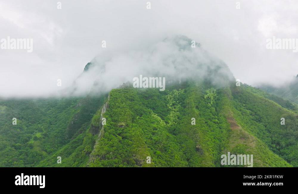 Vibrant green mountain summit hidden in white rain clouds in the ...