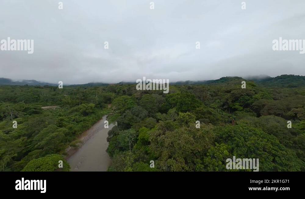 Amazon rainforest birds eye view Stock Videos & Footage - HD and 4K ...