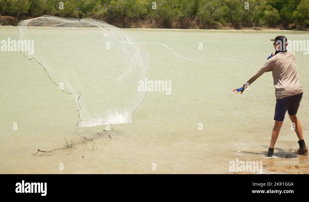 Australian wetland fish Stock Videos & Footage - HD and 4K Video Clips ...