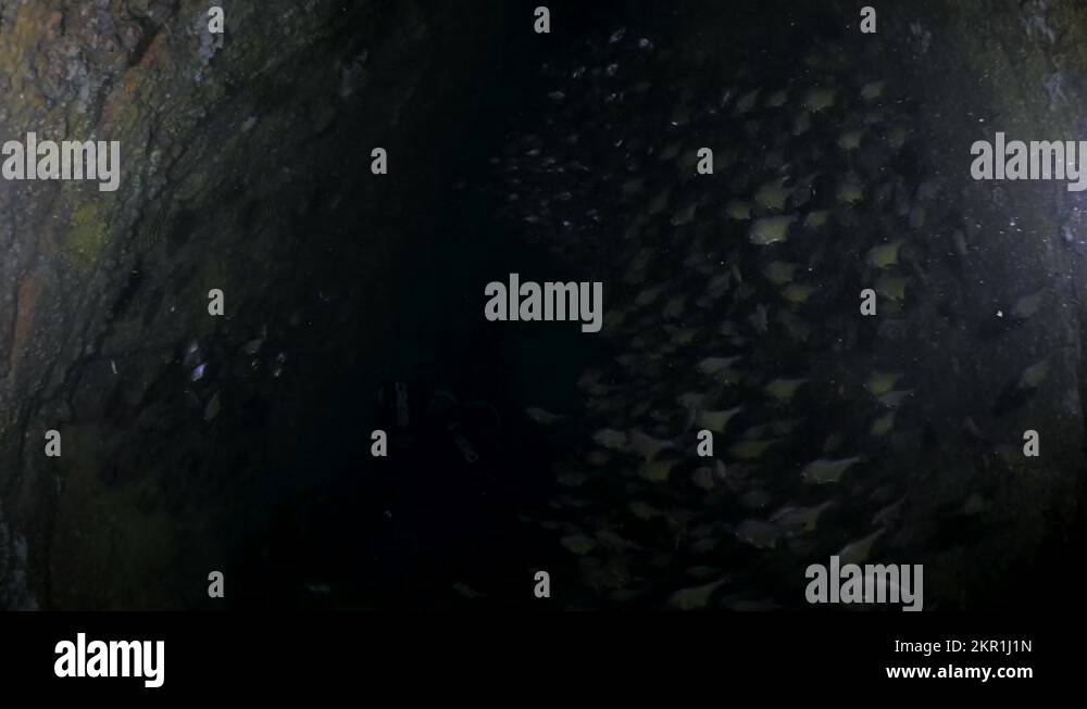 A technical cave diver exploring an underwater cave system lights up a ...