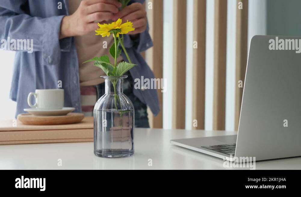 Flowers vase hands Stock Videos & Footage - HD and 4K Video Clips - Alamy