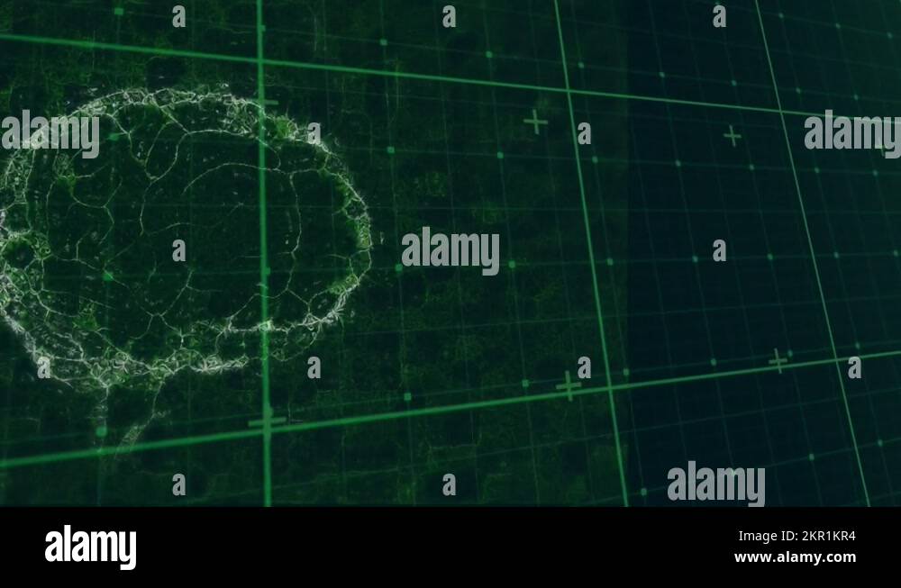 Brain shapes Stock Videos & Footage - HD and 4K Video Clips - Alamy
