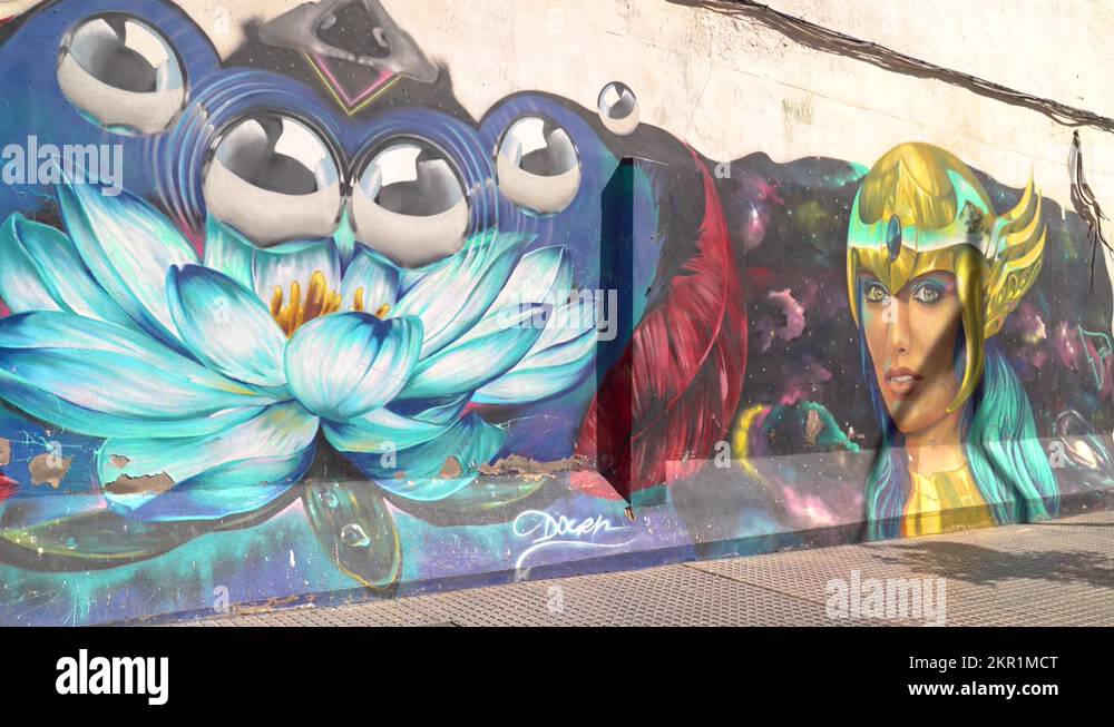 Graffiti mural murals street art Stock Videos & Footage - HD and 4K ...