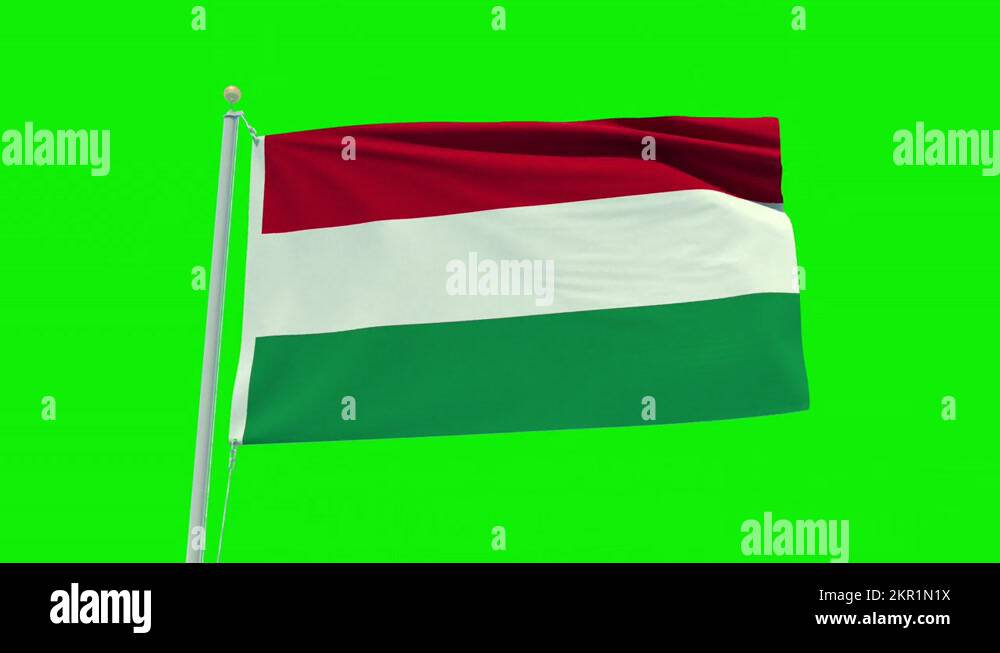 Seamless loop animation of the Hungary flag on a green screen ...