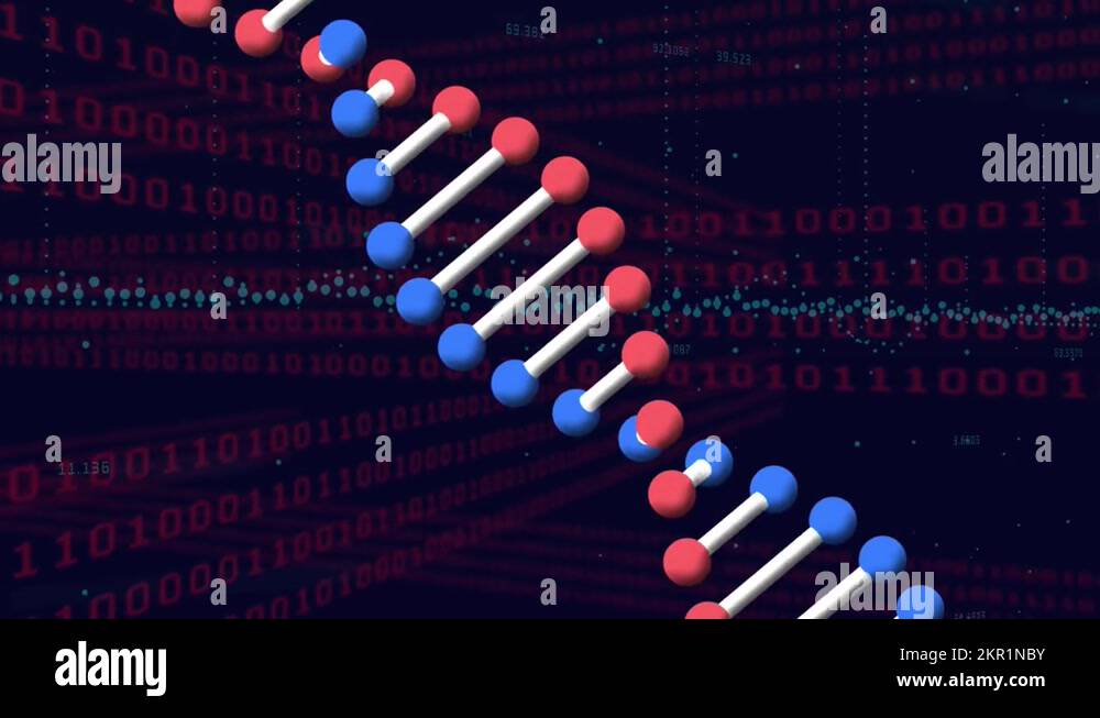 Coding Structure Stock Videos And Footage Hd And 4k Video Clips Alamy 1007