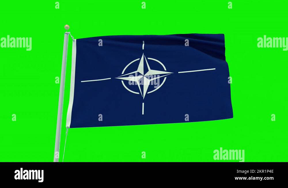 Seamless loop animation of the Nato flag on a green screen background ...