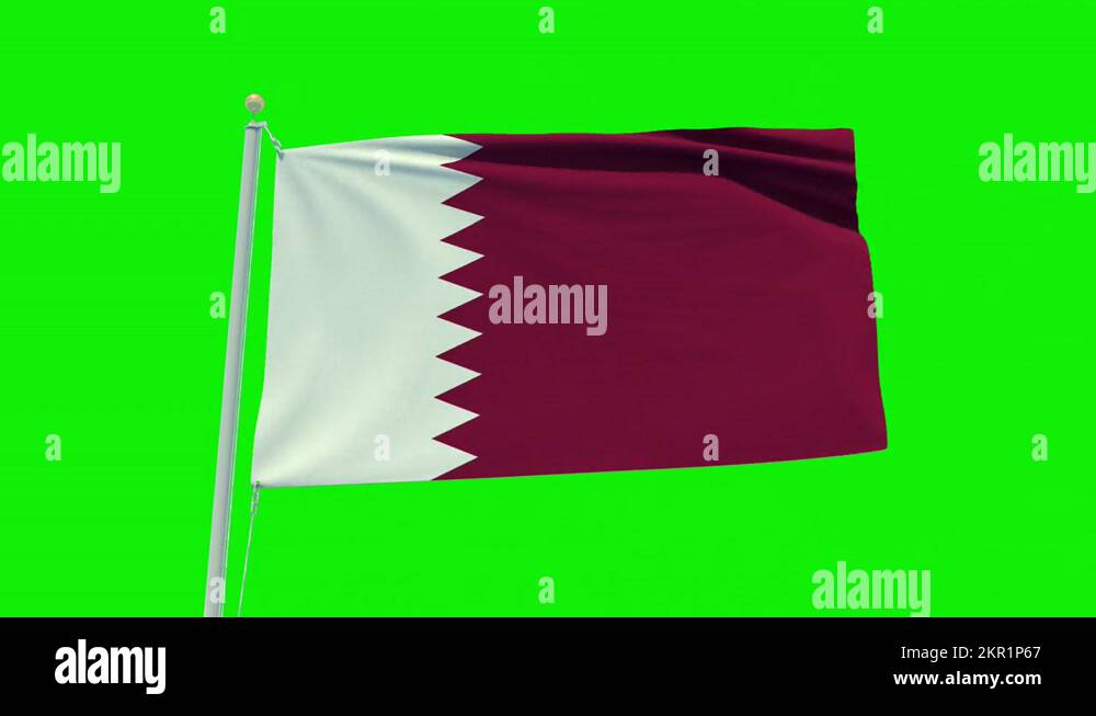 Seamless loop animation of the Qatar flag on a green screen background ...