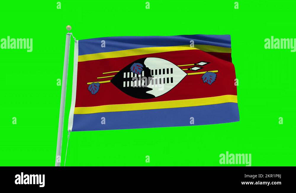 Seamless loop animation of the Swaziland flag on a green screen ...
