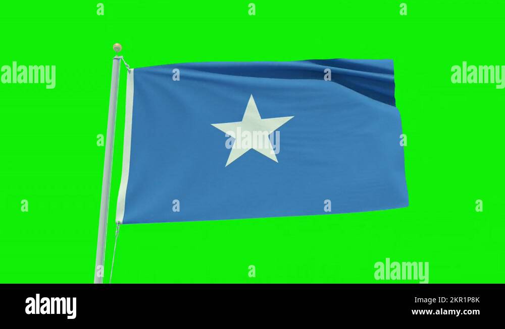 Seamless loop animation of the Somalia flag on a green screen ...