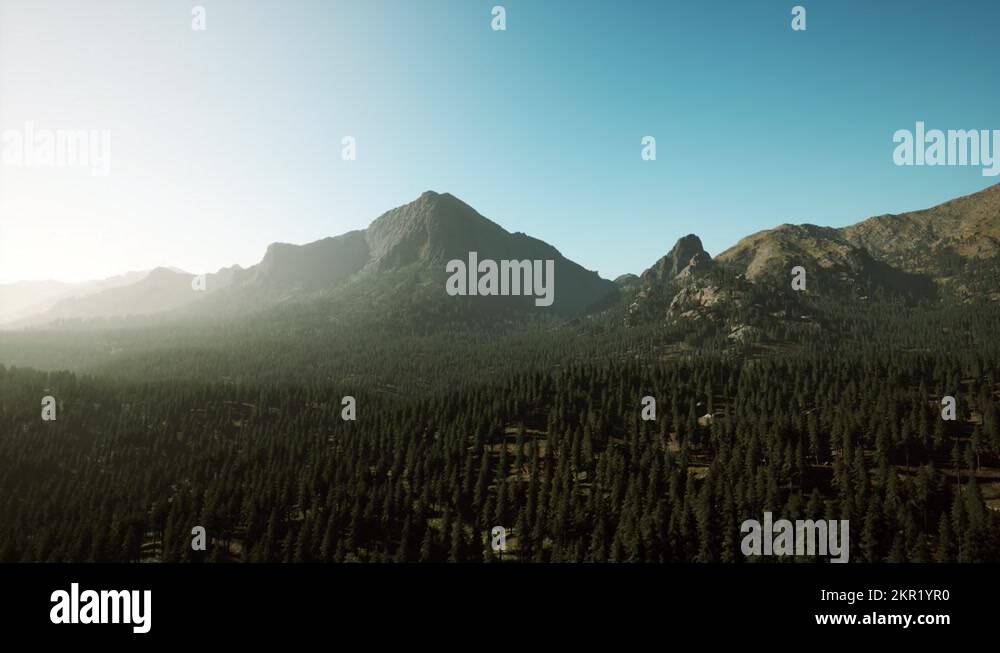 Range of trees Stock Videos & Footage - HD and 4K Video Clips - Alamy