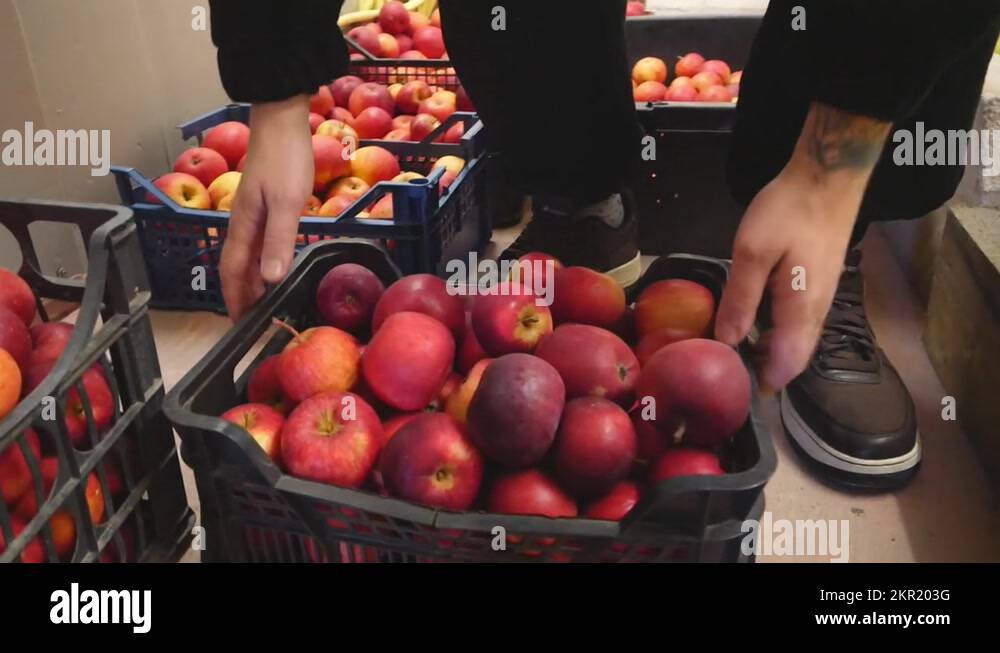 Man lifting and carrying a box of fresh organic apples Stock Video ...