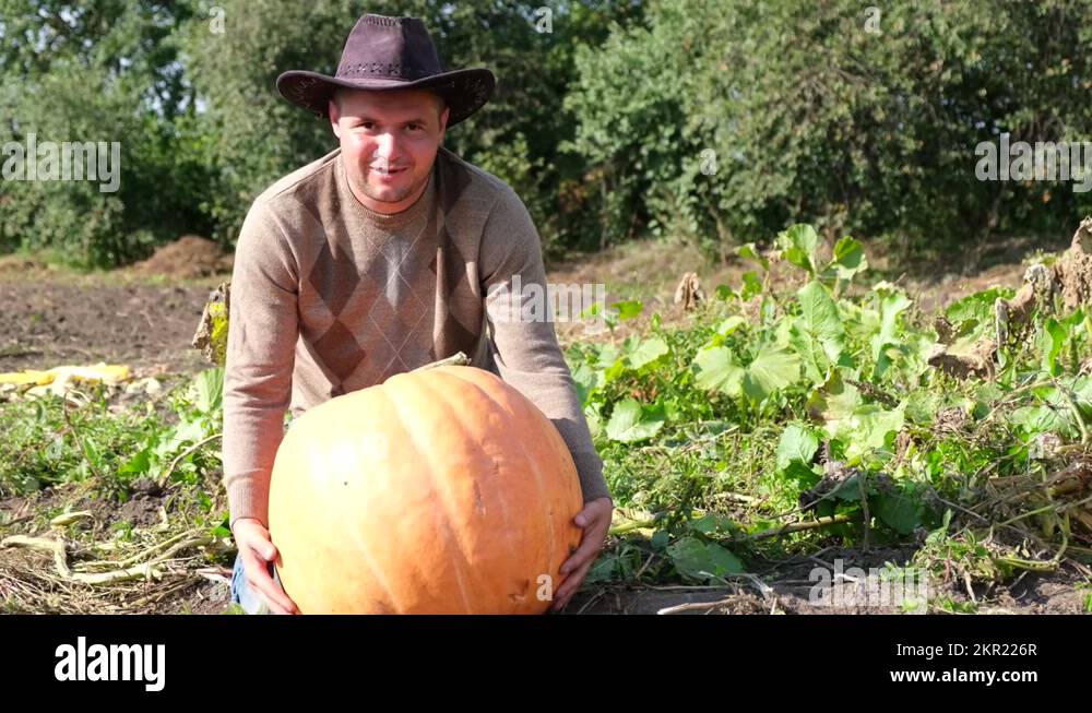 Holding hat on head Stock Videos & Footage - HD and 4K Video Clips - Alamy