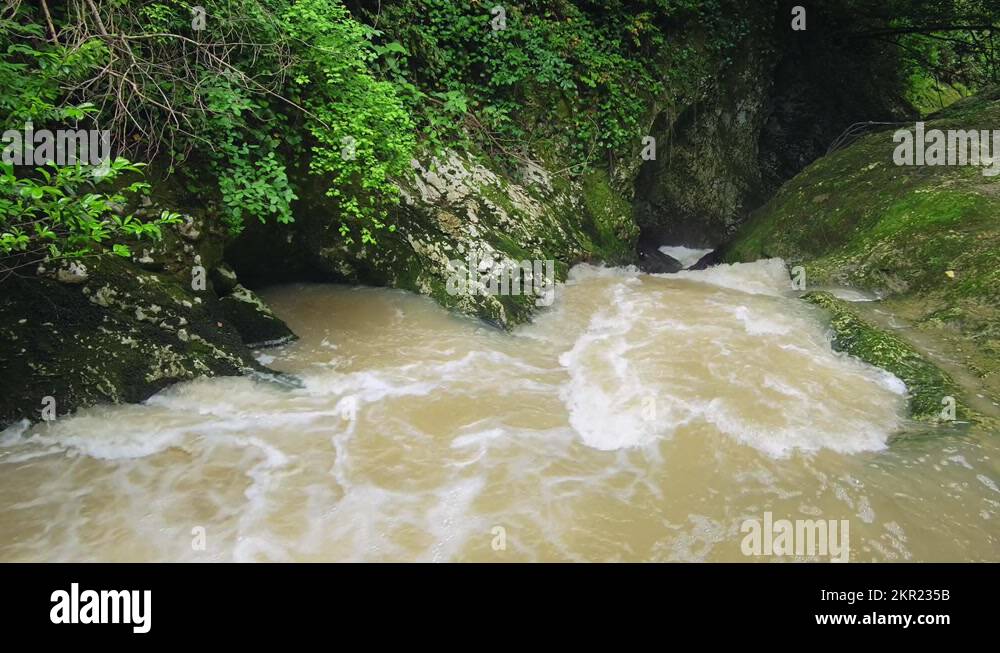 Bac design Stock Videos & Footage - HD and 4K Video Clips - Alamy