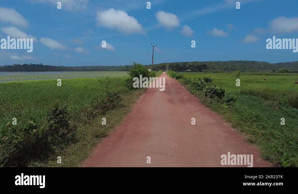 Mud road, Punchakkari Wetlands and Paddy Field in Thiruvananthapuram ...