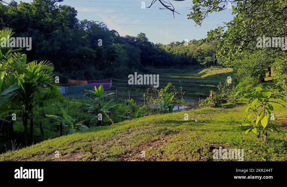 Cultivation scene Stock Videos & Footage - HD and 4K Video Clips - Alamy