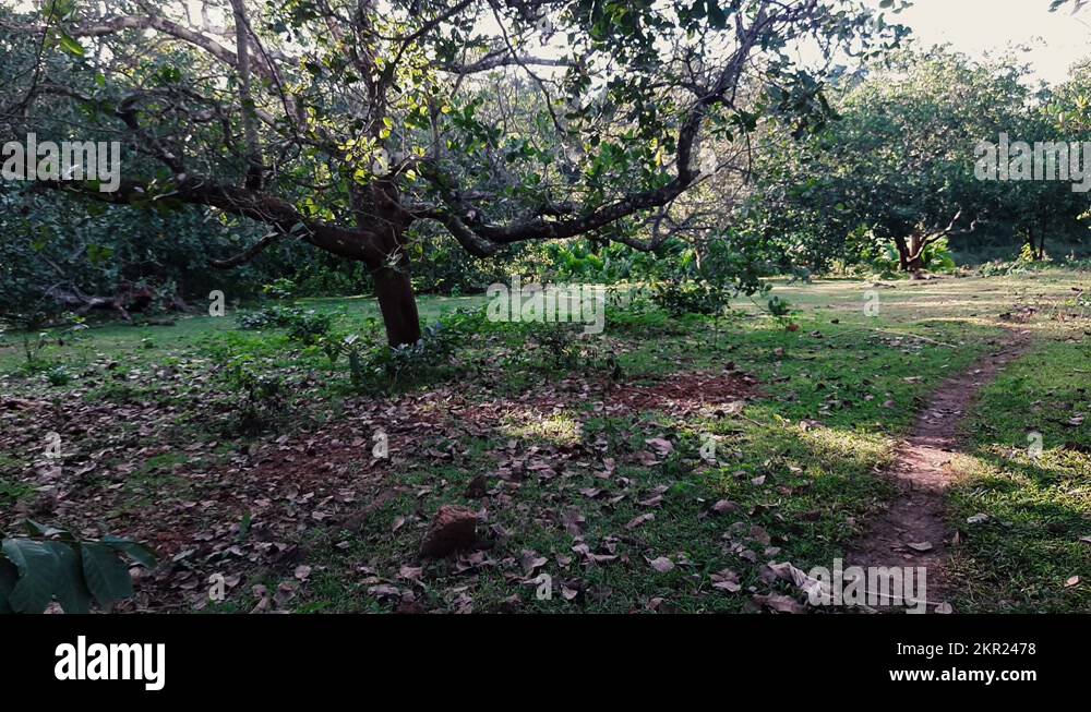 Tranquil farm scene Stock Videos & Footage - HD and 4K Video Clips - Alamy