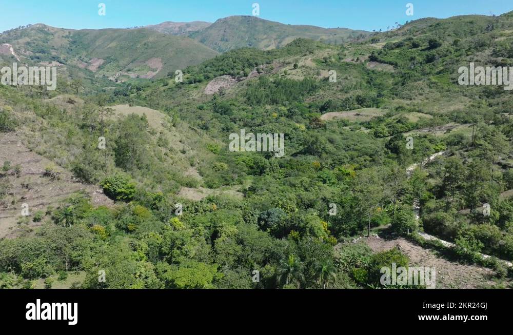 Vegetation border Stock Videos & Footage - HD and 4K Video Clips - Alamy