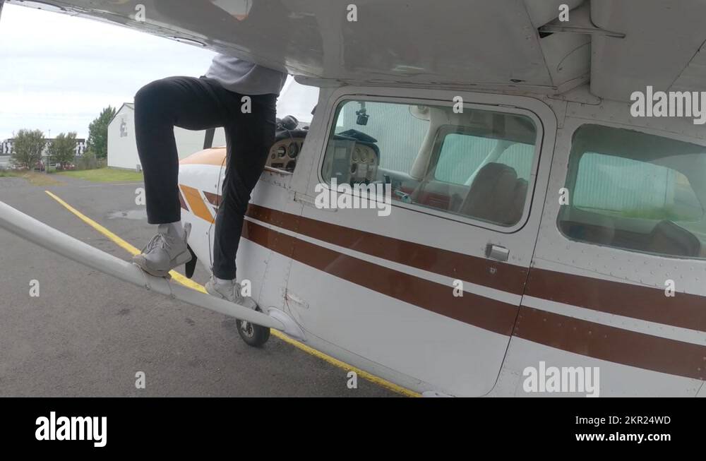 Standing fly wing legs flight Stock Videos & Footage - HD and 4K Video ...