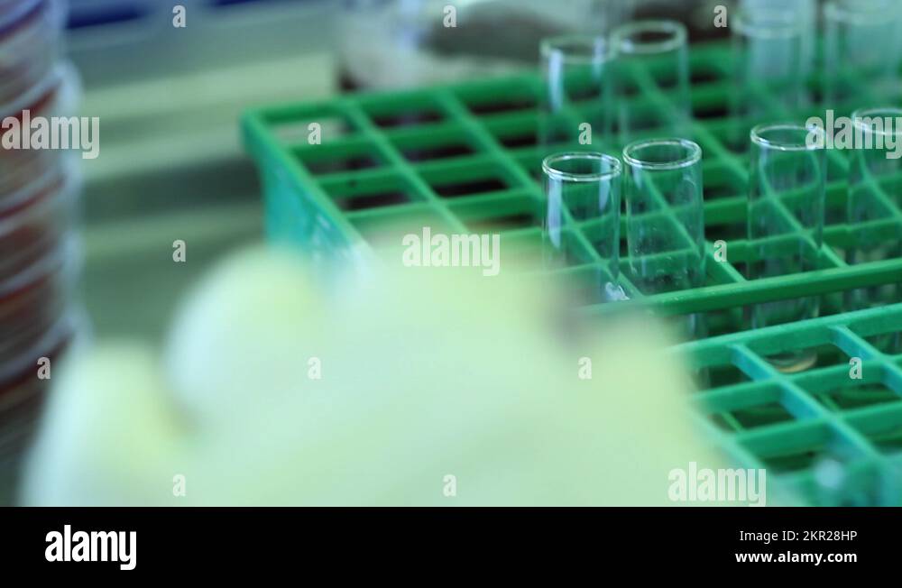 Swab swab tubes Stock Videos & Footage - HD and 4K Video Clips - Alamy