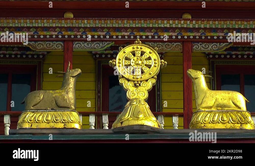 Lama symbol Stock Videos & Footage - HD and 4K Video Clips - Alamy
