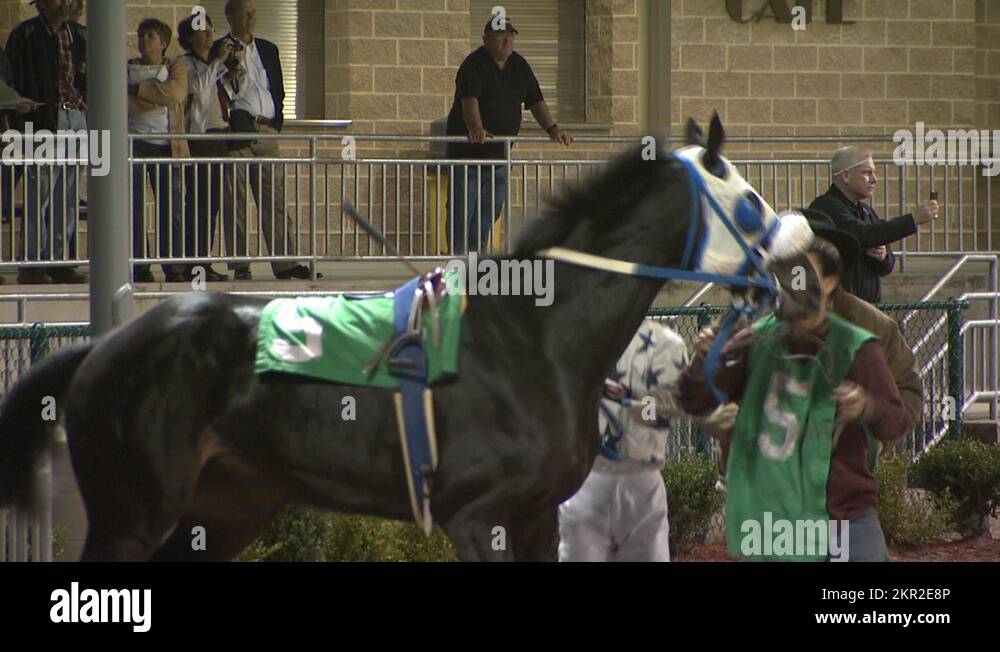 Jockey mounting horse Stock Videos & Footage - HD and 4K Video Clips ...